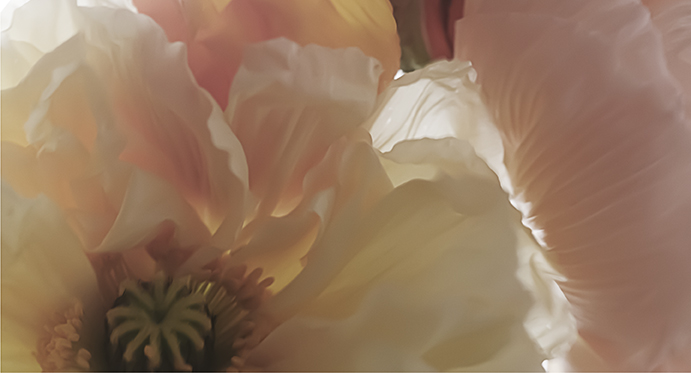 BOLIA x 3daysofdesign